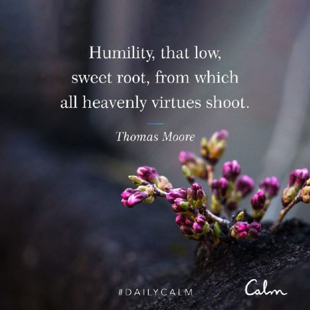 Love Everyone (then everyone wins) | Rise ... Love ... Live